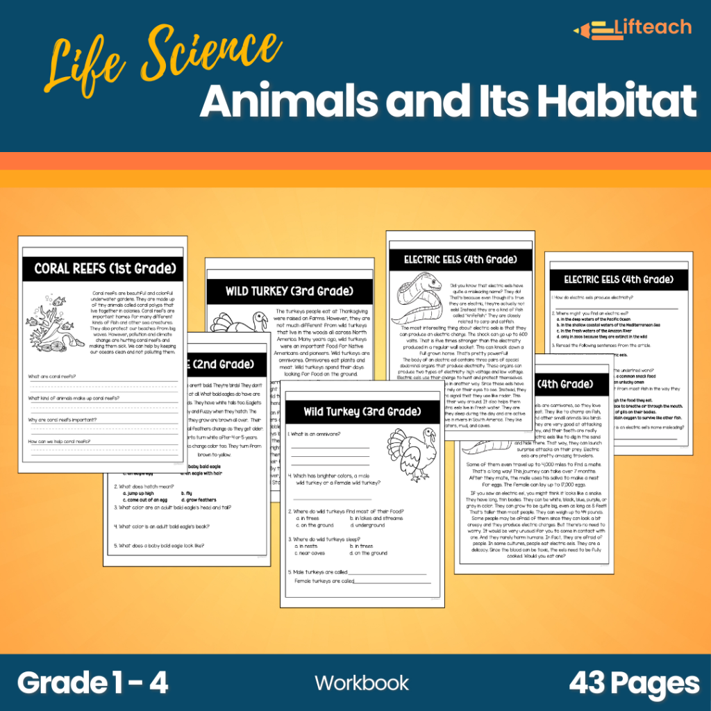 Animals and Their Habitat Workbook - Lifteach