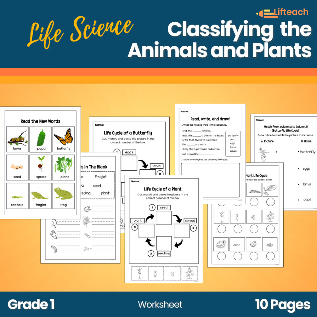 Life Cycle of a Butterfly, Plant, and Frog Worksheet - Lifteach
