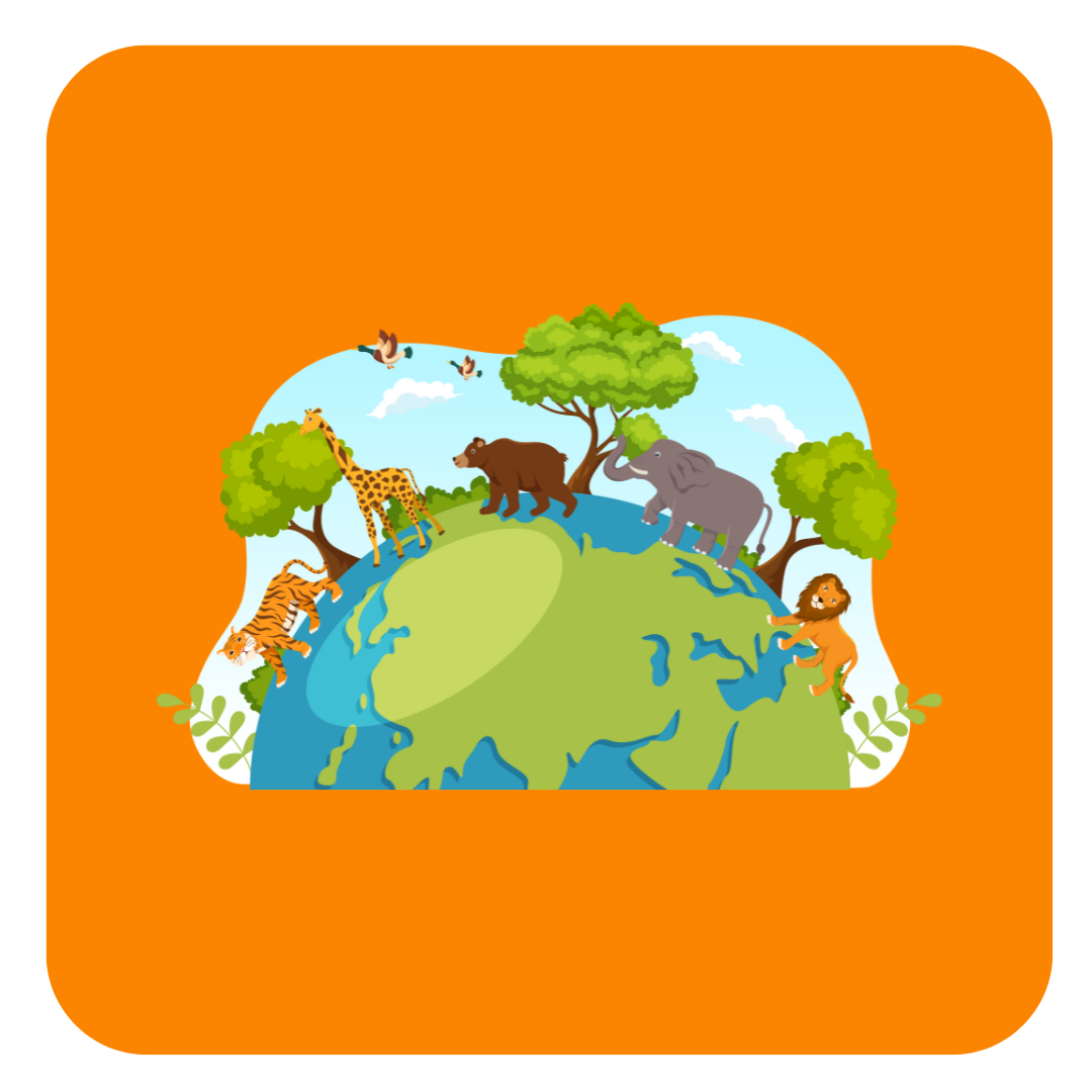 Grade 1 - Life Science: Classifying Animals and Plants - Lifteach